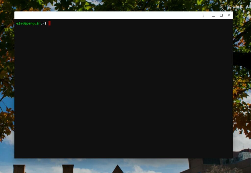 Chrome OS 94 Update To Fix Crostini Terminal SWA Registration Failing Issue chrome-os-94-update-to-fix-crostini-terminal-swa-registration-failing-issue