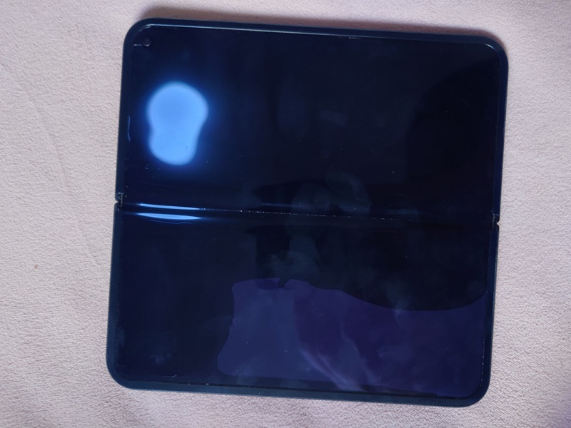 Google Pixel 9 Pro Fold selfie cameras are failing for some users ...